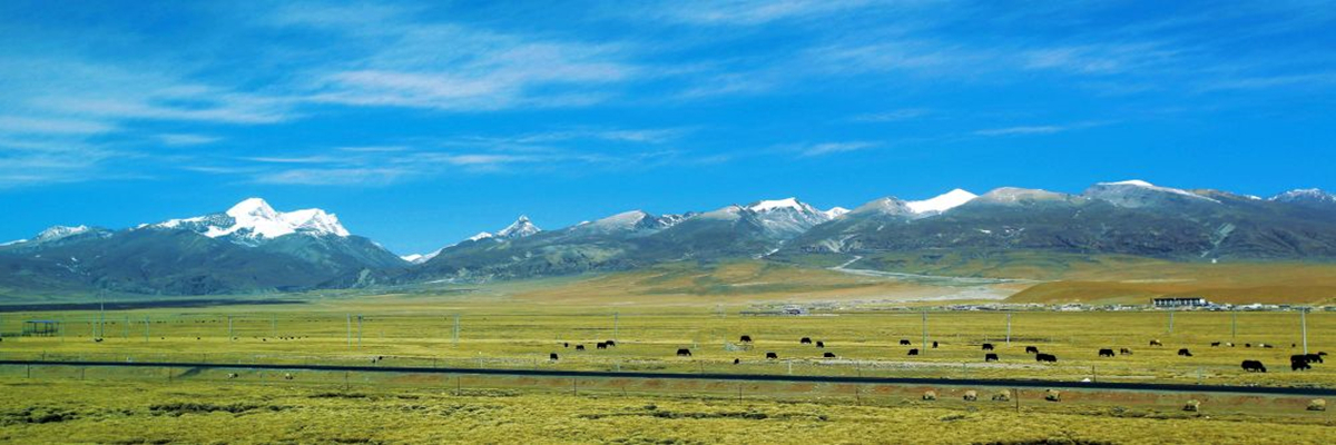 Nagqu Travel Guide: Transportation, Hotels, Tips, Attractions, Tour ...