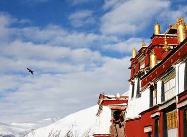 Lhasa Tour Packages, Make a Perfect Lhasa Trip in 2023&2024