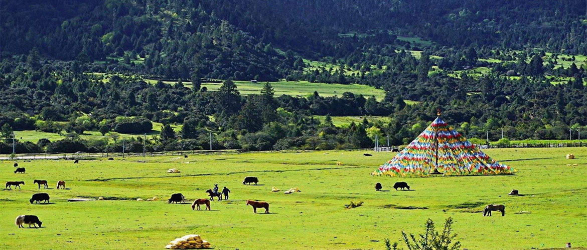 9-Day Lhasa Nyingtri Tsetang Tour