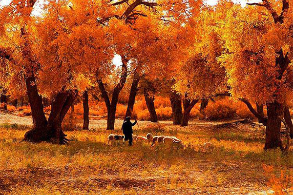 Travel Guide of Golmud, Places to Visit in Golmud